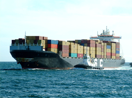 Servicio de Exportacion – Multiweb & Technologies Corp